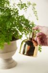 Brass Plant Mister | Anthropologie