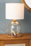 Edith Table Lamp | Anthropologie