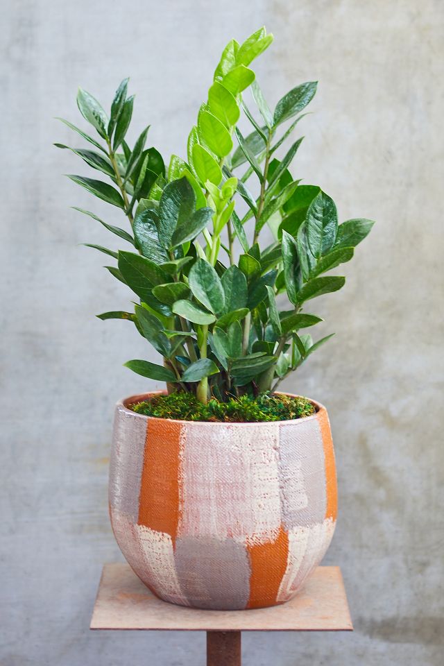 Metallic Ceramic Pot | Anthropologie