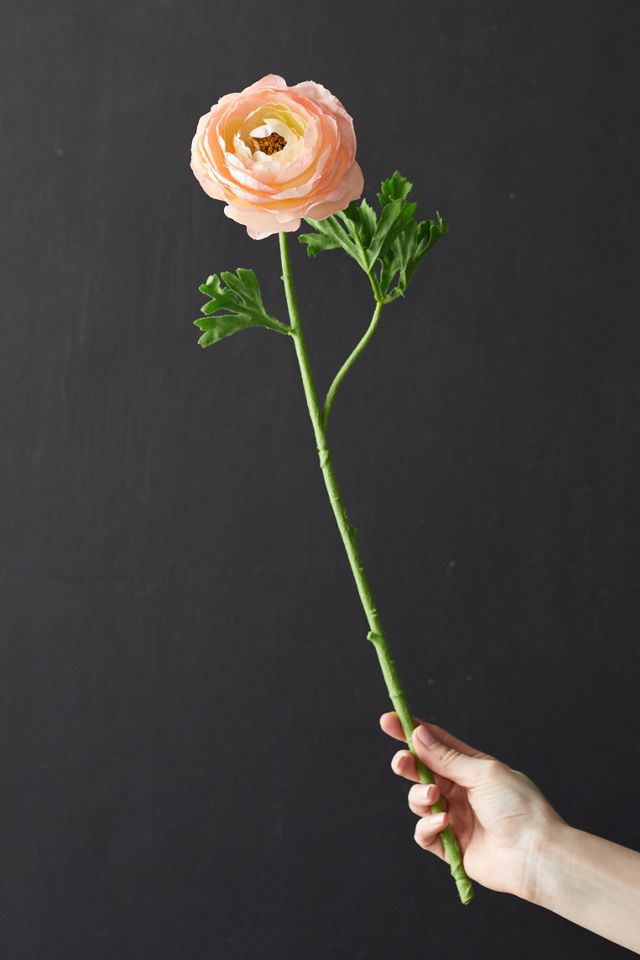 Faux Pink Ranunculus Stem | Anthropologie