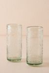 Buttercup Glasses, Set of 2 | Anthropologie