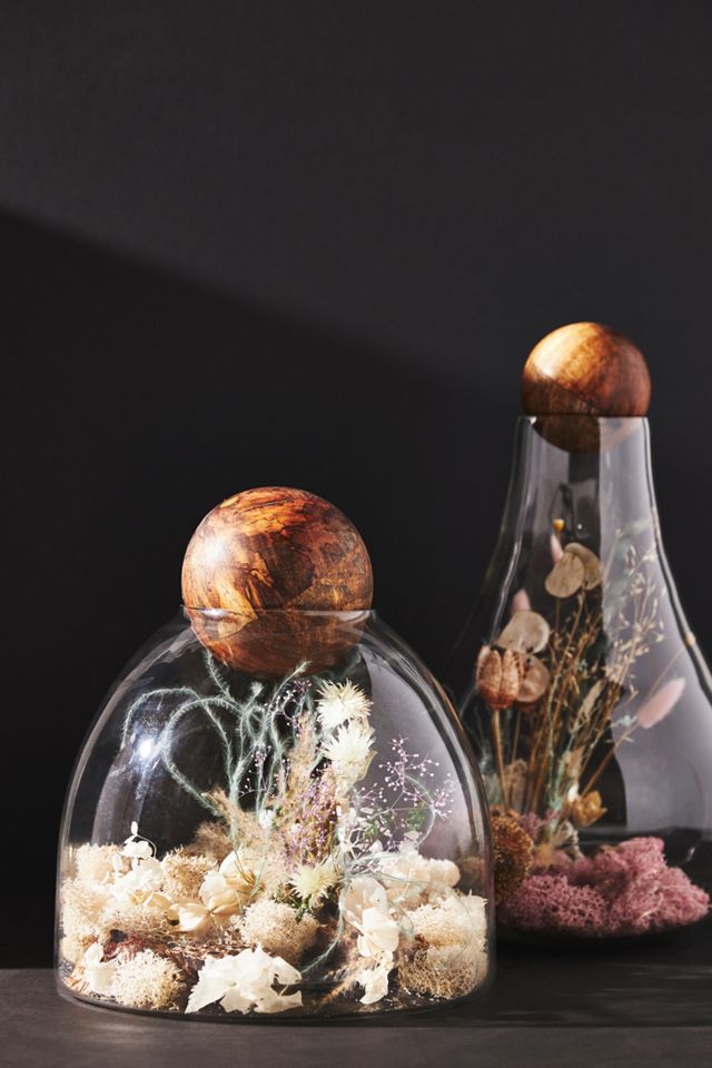 Botanical Sphere Curiosity Terrarium | Anthropologie