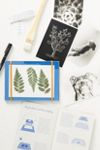 DIY Cyanotype Printing Kit | Anthropologie