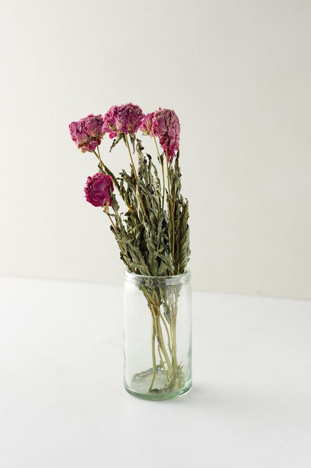 Preserved Peony Bunch | Anthropologie