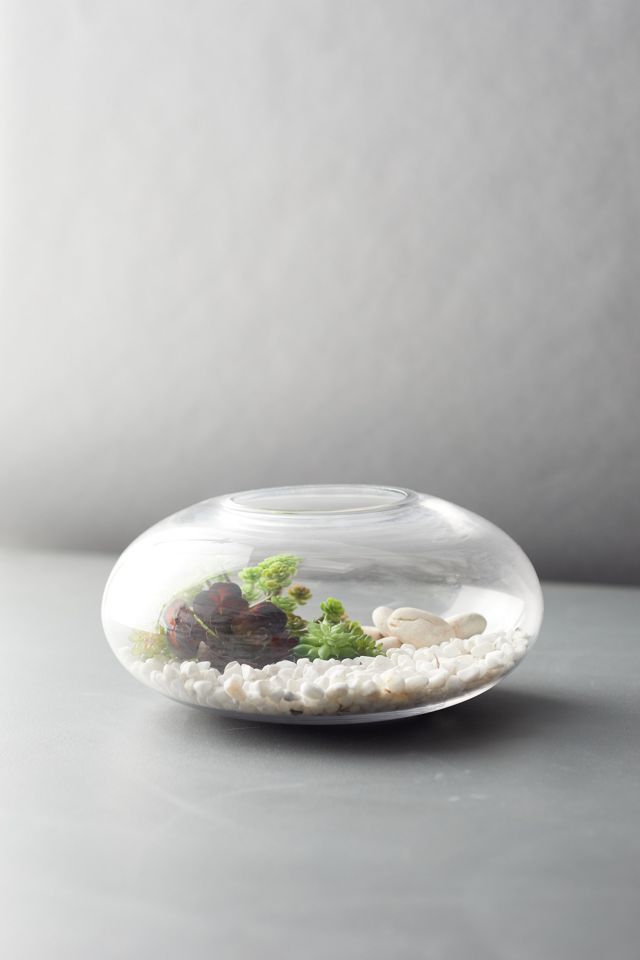 Sphere Terrarium, Small | Anthropologie