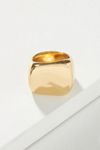 Soko Statement Ring | Anthropologie