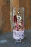 Footed Column Terrarium | Anthropologie