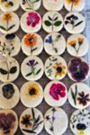 Loria Flower Pressed Shortbread Cookies | Anthropologie