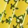 Anna Spiro Allegory Lamp Shade | Anthropologie