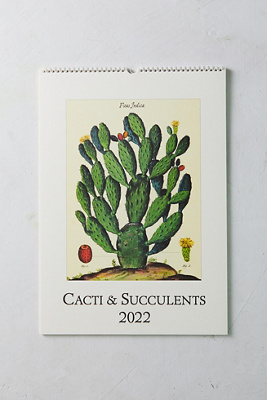 Cacti + Succulents 2022 Wall Calendar | Anthropologie
