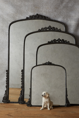 Gleaming Primrose Mirror | Anthropologie UK