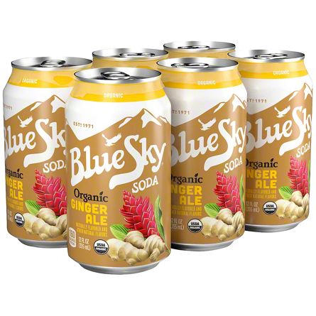 Blue Sky Organic Ginger Ale Soda, 6 pk | Central Market - Really Into Food