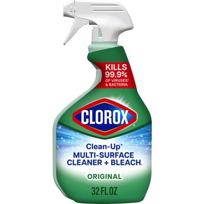 Clorox Clean-Up Multi-Surface Cleaner with Bleach Spray Bottle ...