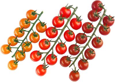 Tri Color Cherry Tomatoes On The Vine, by lb | Central Market - Really ...