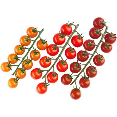 Tri Color Cherry Tomatoes On The Vine, by lb | Central Market - Really ...
