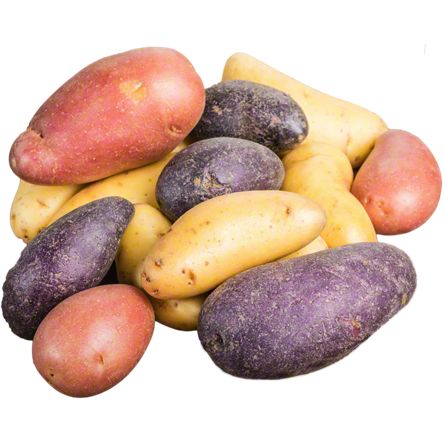 Mixed Fingerling Potatoes | Central Market - Really Into Food