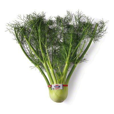 Fresh Fennel, Each | Joe V's Smart Shop | Low Prices & Quality Groceries