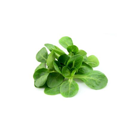 Fresh Mache Lettuce, LB | Central Market - Really Into Food