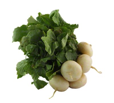 Fresh Snowball Radishes, ea | Central Market - Really Into Food