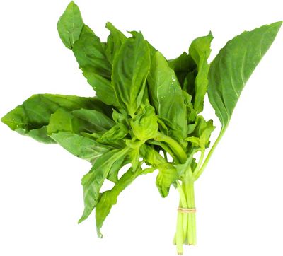 Fresh Basil, ea | Central Market - Really Into Food