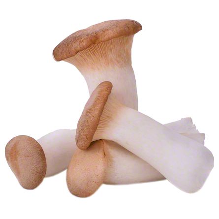 Fresh Trumpet Royale Mushroom, LB | Central Market - Really Into Food