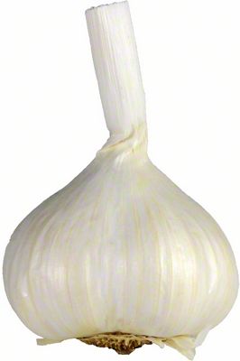 Organic Colossal Garlic | Central Market - Really Into Food