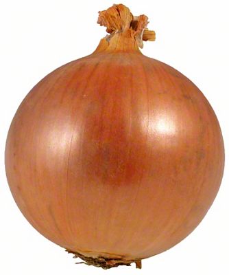 Organic Yellow Onion | Joe V's Smart Shop | Low Prices & Quality Groceries