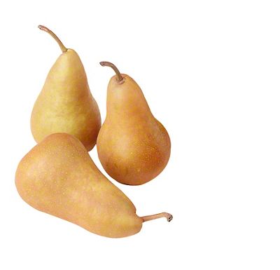 Fresh Abate Fetel Pears | Central Market - Really Into Food