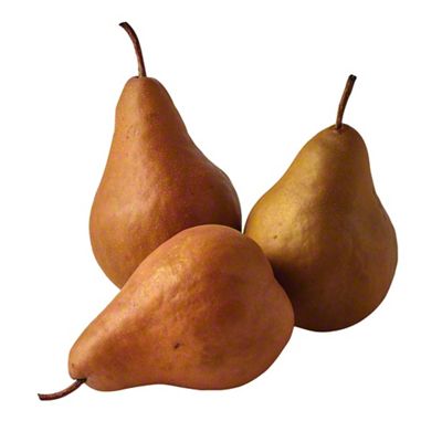 Fresh Bosc Pear | Joe V's Smart Shop | Low Prices & Quality Groceries