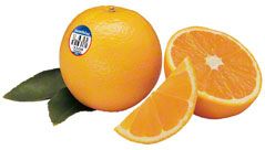 Fresh Valencia Oranges, LB | Central Market - Really Into Food