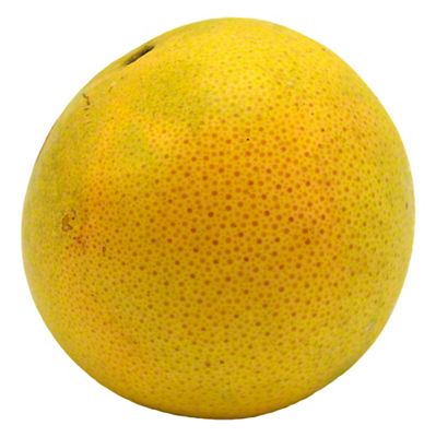 Large Red Florida Grapefruit | Joe V's Smart Shop | Low Prices ...