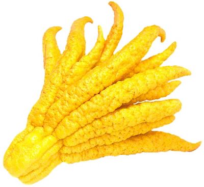 Fresh Buddha's Hand | Joe V's Smart Shop | Low Prices & Quality Groceries