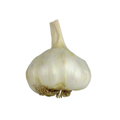 Fresh Garlic, Each | Central Market - Really Into Food