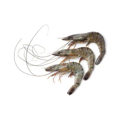 Frozen Raw Gulf Brown Shrimp Shell-On, Wild Caught, 21/25 ct – Central ...