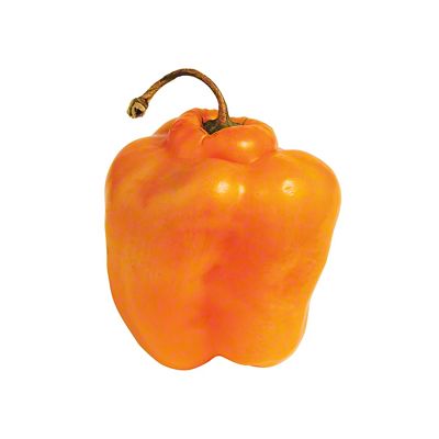 Fresh Manzano Chile Pepper | Central Market - Really Into Food