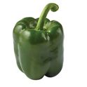 Fresh Green Bell Pepper Each Central Market Really Into Food