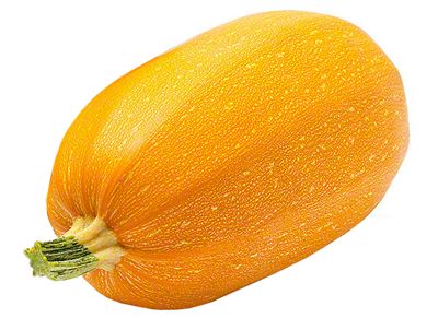 Fresh Orangetti Squash | Central Market - Really Into Food