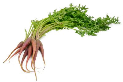 Fresh Beta Sweet Carrots with Tops, 12 ct | Central Market - Really ...