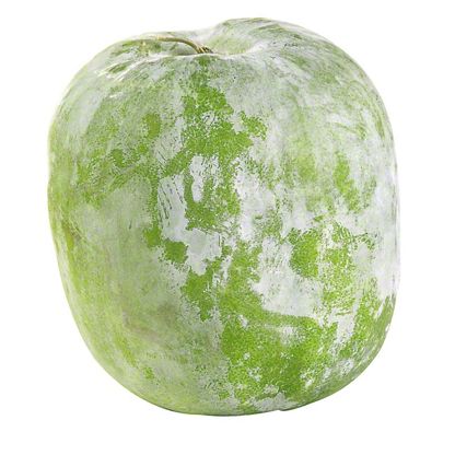 Fresh Winter Melon, lb – Central Market