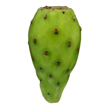 Prickly pear fruit store