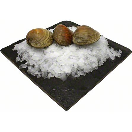 Fresh Cherrystone Clams | Central Market - Really Into Food