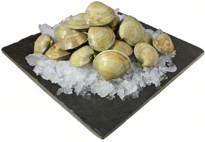 Fresh Littleneck Clams, by lb | Central Market - Really Into Food