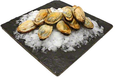 Fresh Soft Shell Clams, lb | Central Market - Really Into Food