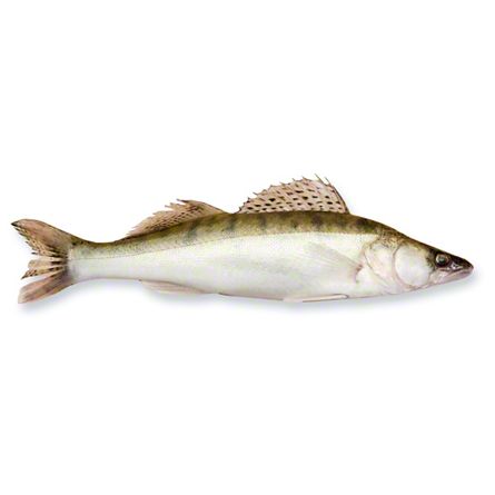 Whole Walleye Pike | Central Market - Really Into Food