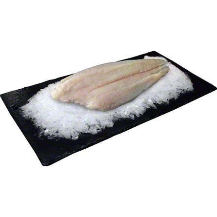 Fresh Atlantic Flounder Fillet, by lb | Central Market - Really Into Food