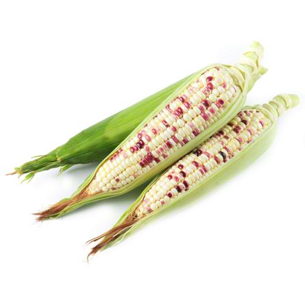 Organic Wild Violet Corn, ea | Central Market - Really Into Food