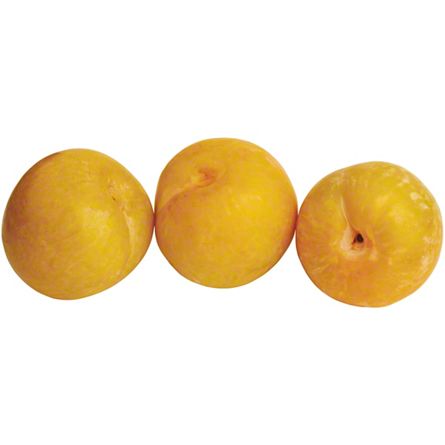 Fresh Midas Plums, lb | Central Market - Really Into Food