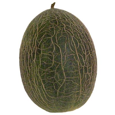 Fresh Sharlyn Melon, ea | Central Market - Really Into Food