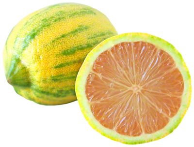 Fresh Pink Variegated Lemon | Central Market - Really Into Food