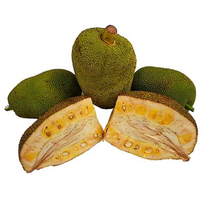 Fresh Jack Fruit, Cut | Central Market - Really Into Food